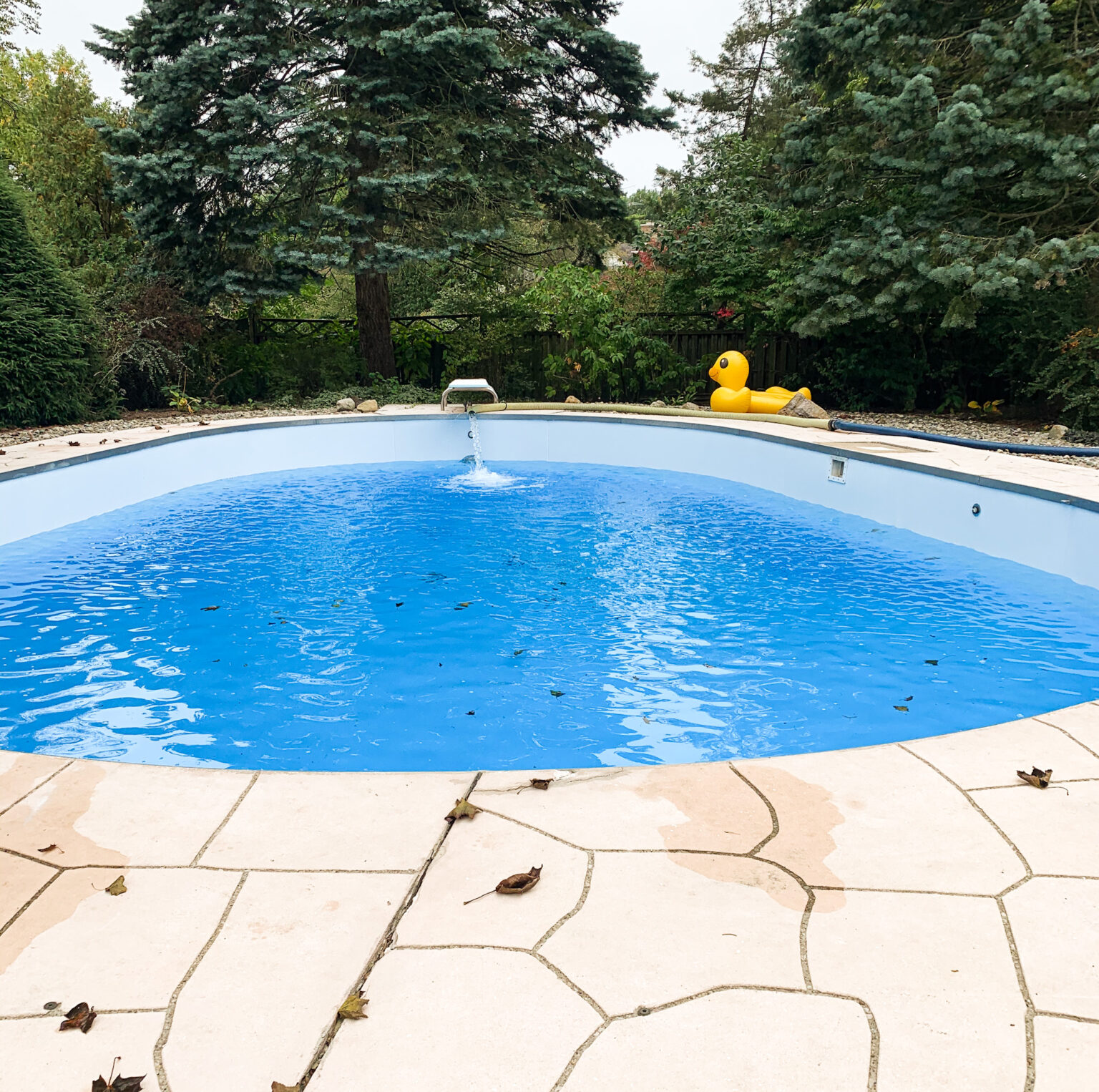 How to Paint A Pool and Save Money | Tutorial - Building Bluebird