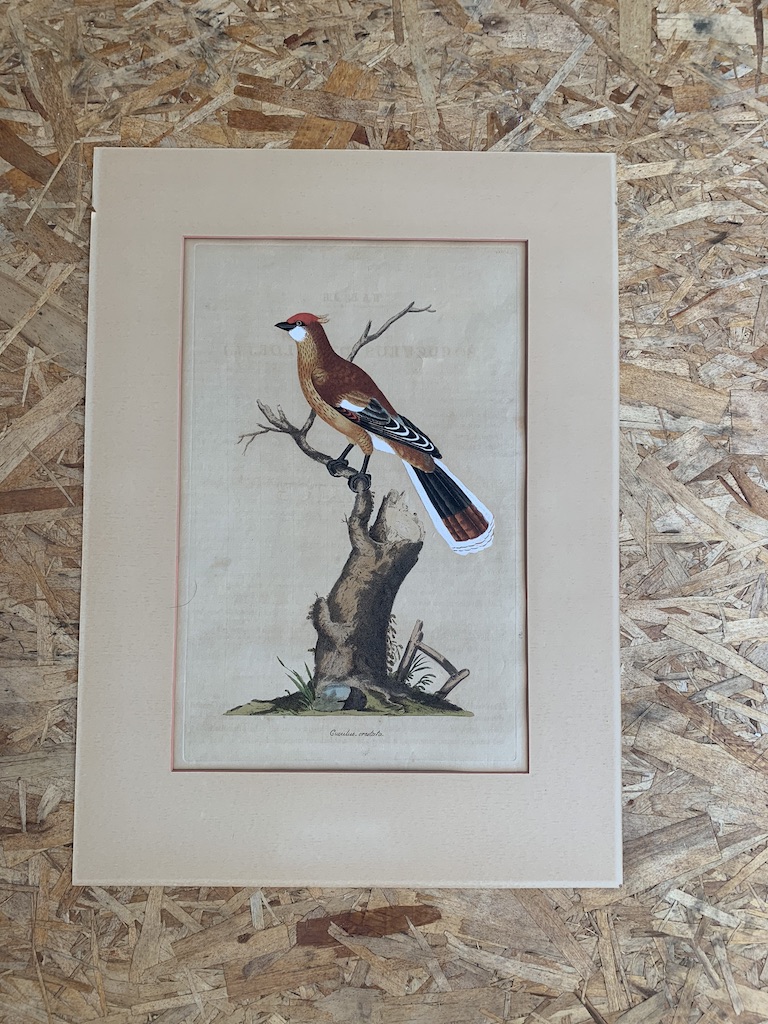 How to Update a Picture Frame Mat with Paint - Building Bluebird