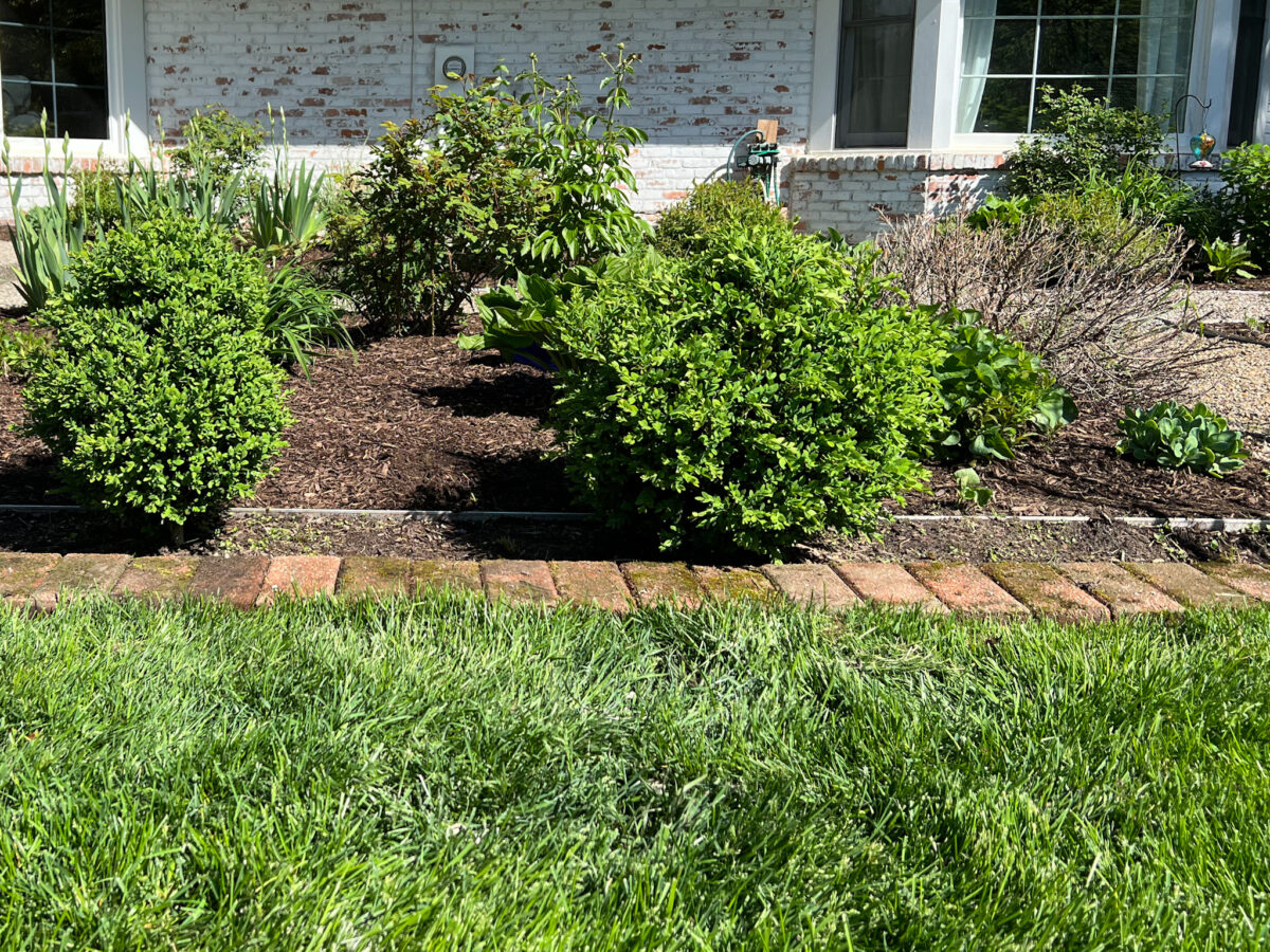 How to Plan a Flower Bed Garden for Beginners - Building Bluebird