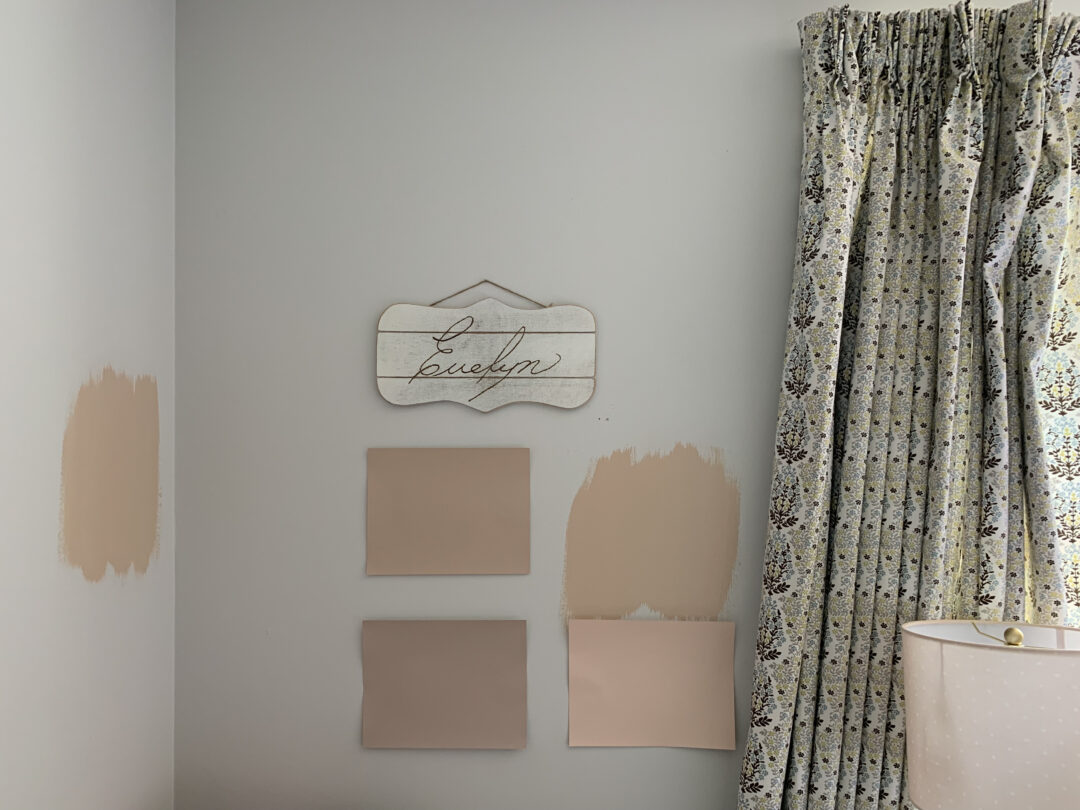 Painting the Walls Pink | ORC Week 2 - Building Bluebird