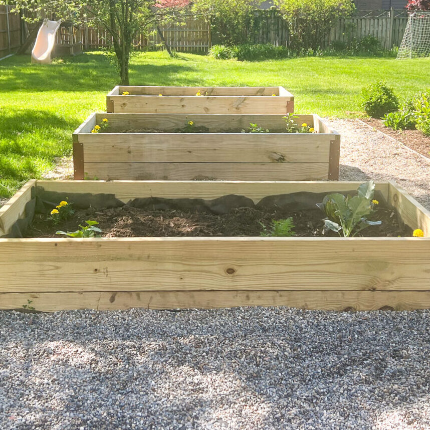 How to Build a Simple Raised Garden Box | DIY - Building Bluebird