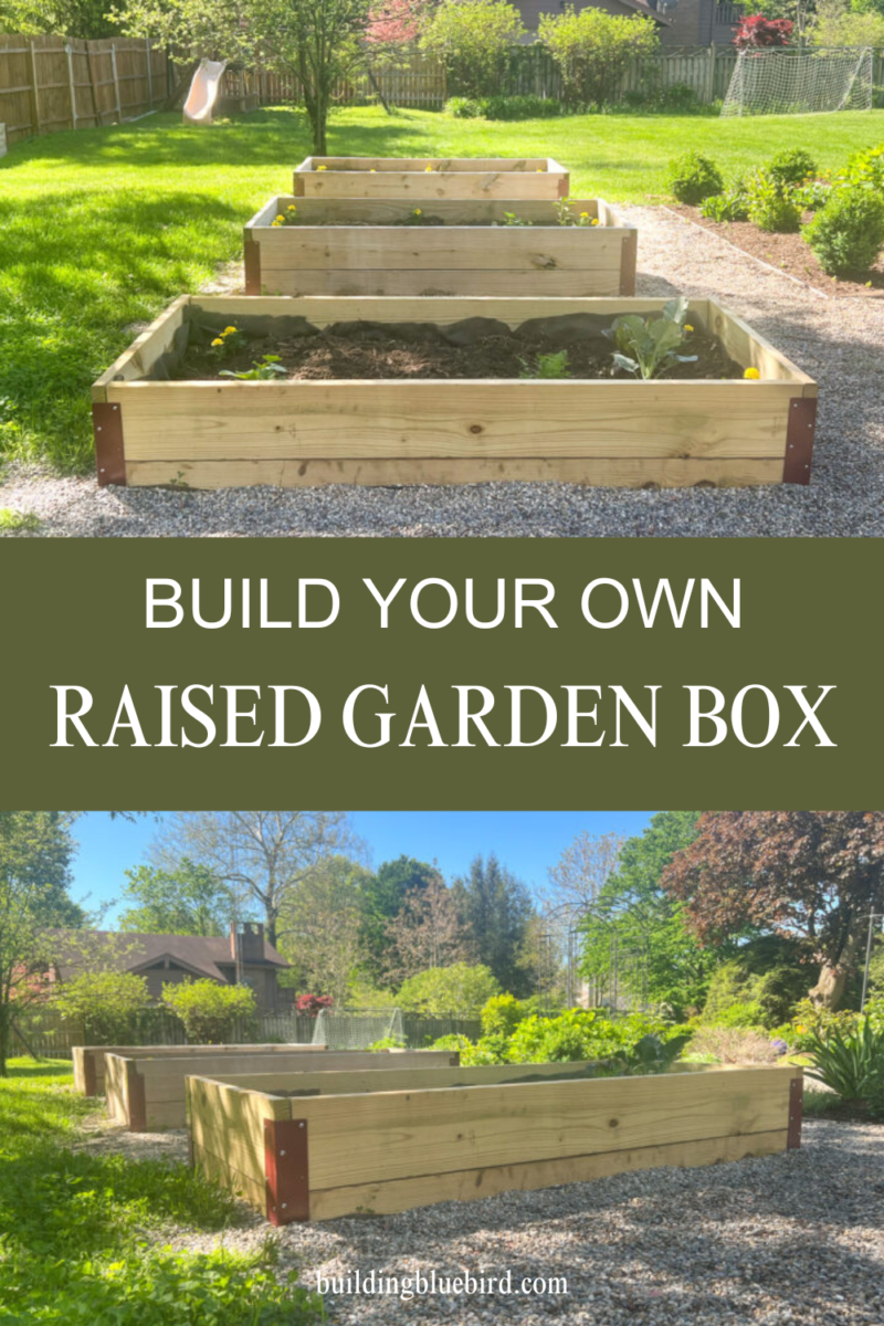 How to Build a Simple Raised Garden Box | DIY - Building Bluebird