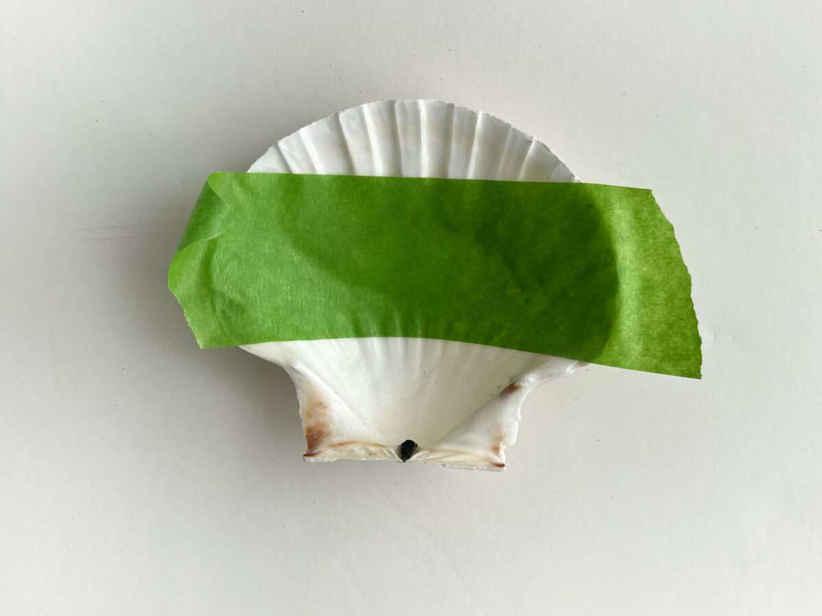 Super Simple Seashell Dish | Rub 'n Buff DIY - Building Bluebird