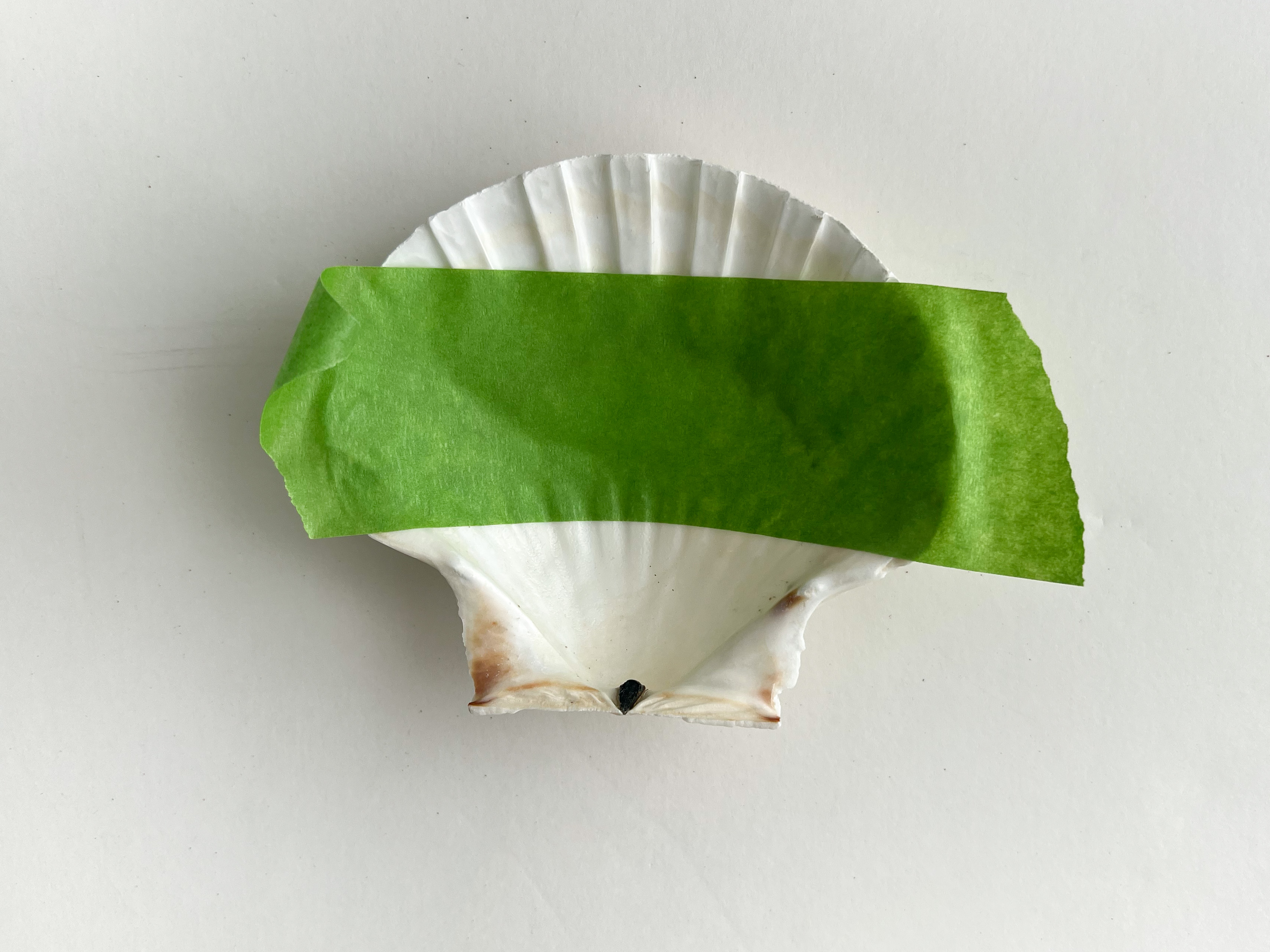 Super Simple Seashell Dish | Rub 'n Buff DIY - Building Bluebird