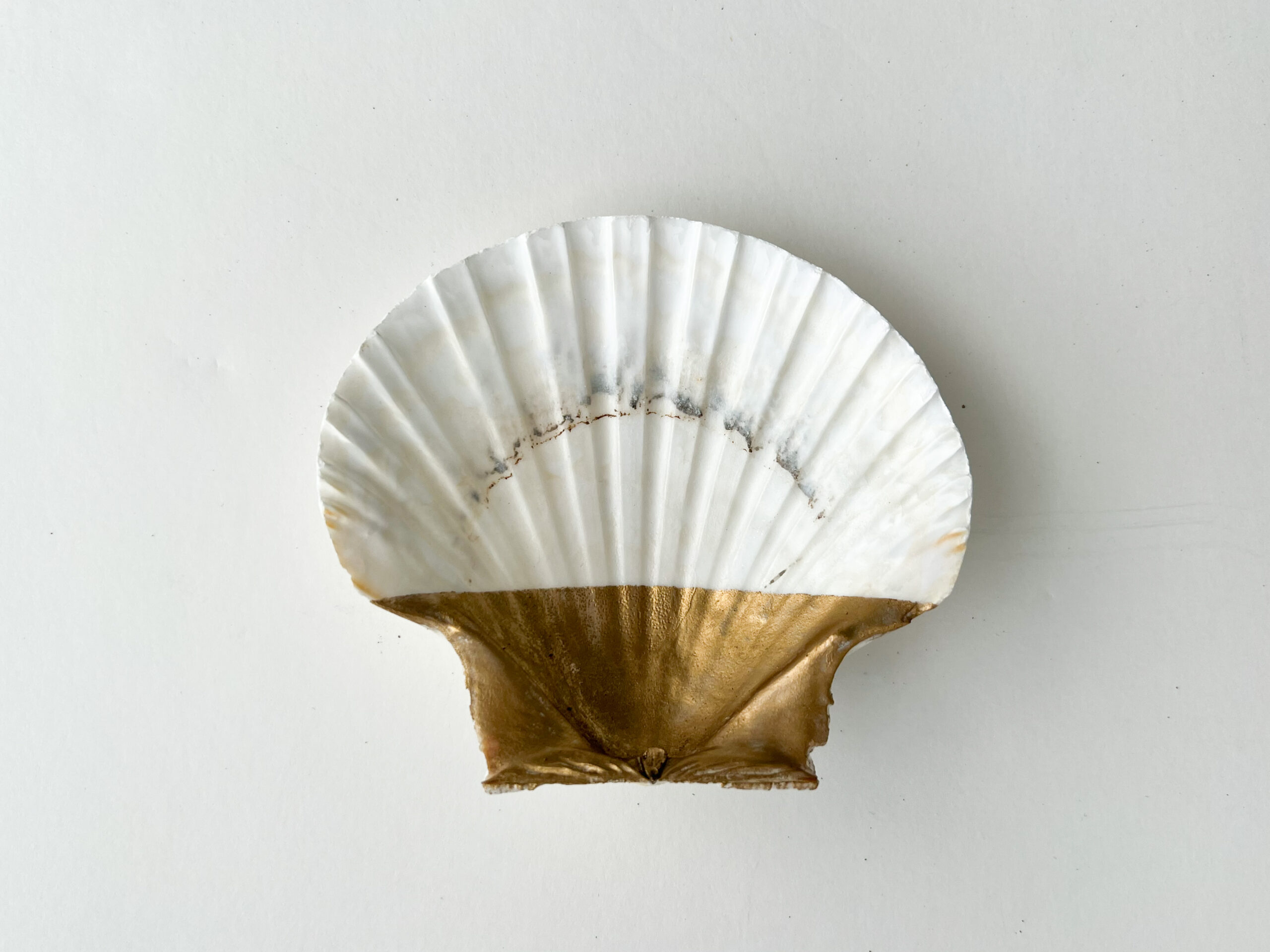 Super Simple Seashell Dish | Rub 'n Buff DIY - Building Bluebird