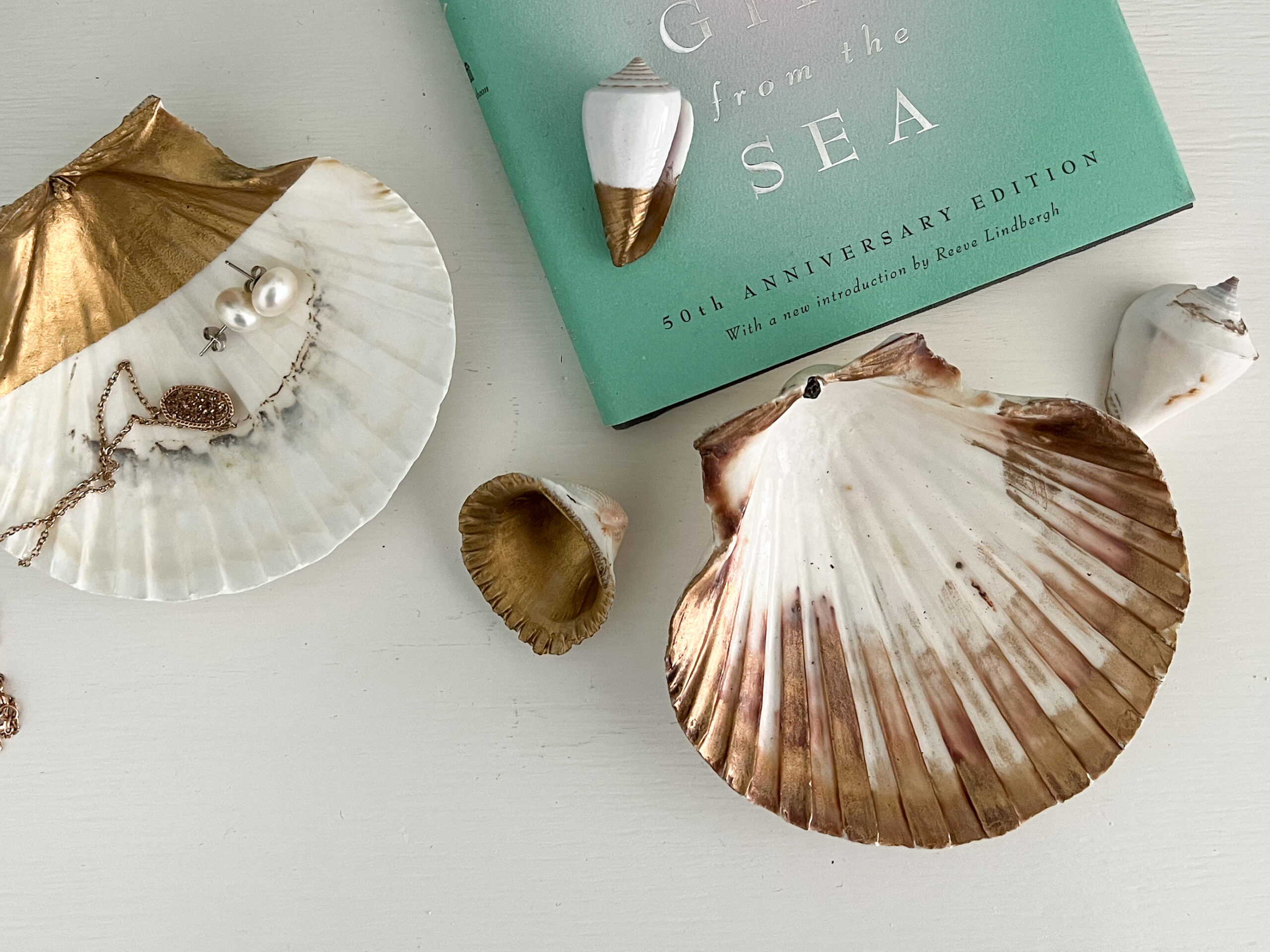 Super Simple Seashell Dish | Rub 'n Buff DIY - Building Bluebird