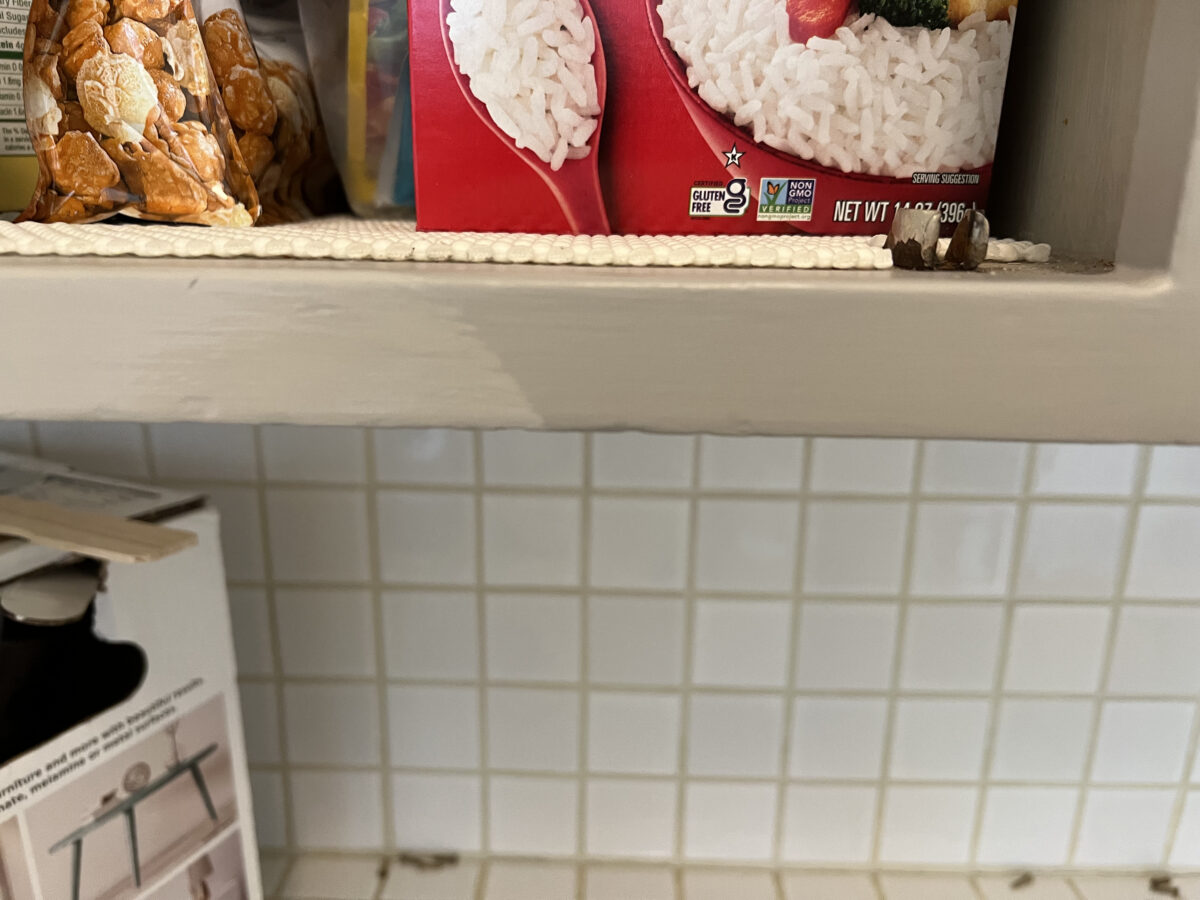 The Best Kitchen Cabinet Paint Kit to Try at Home - Building Bluebird