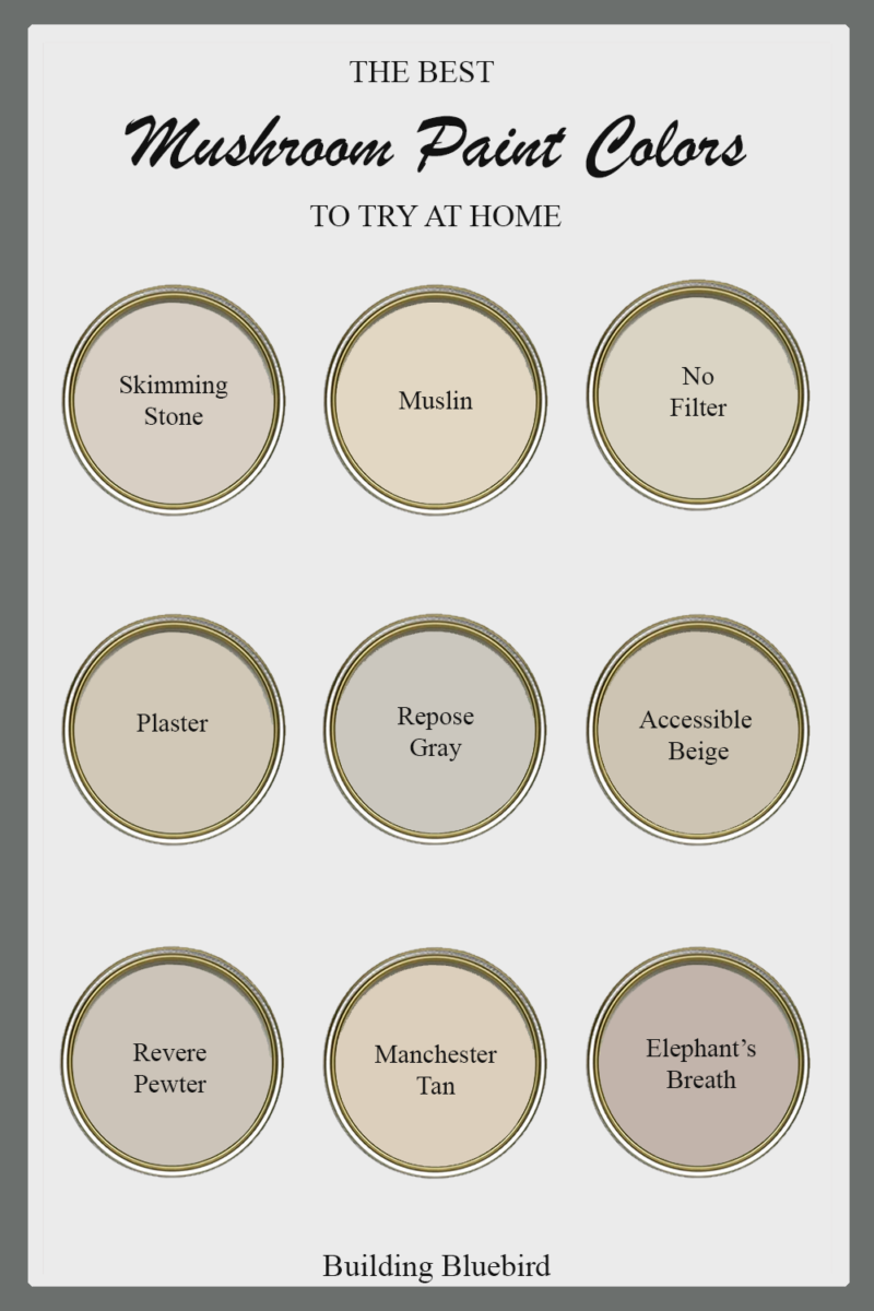 The Best Mushroom Paint Colors for Your Home - Building Bluebird