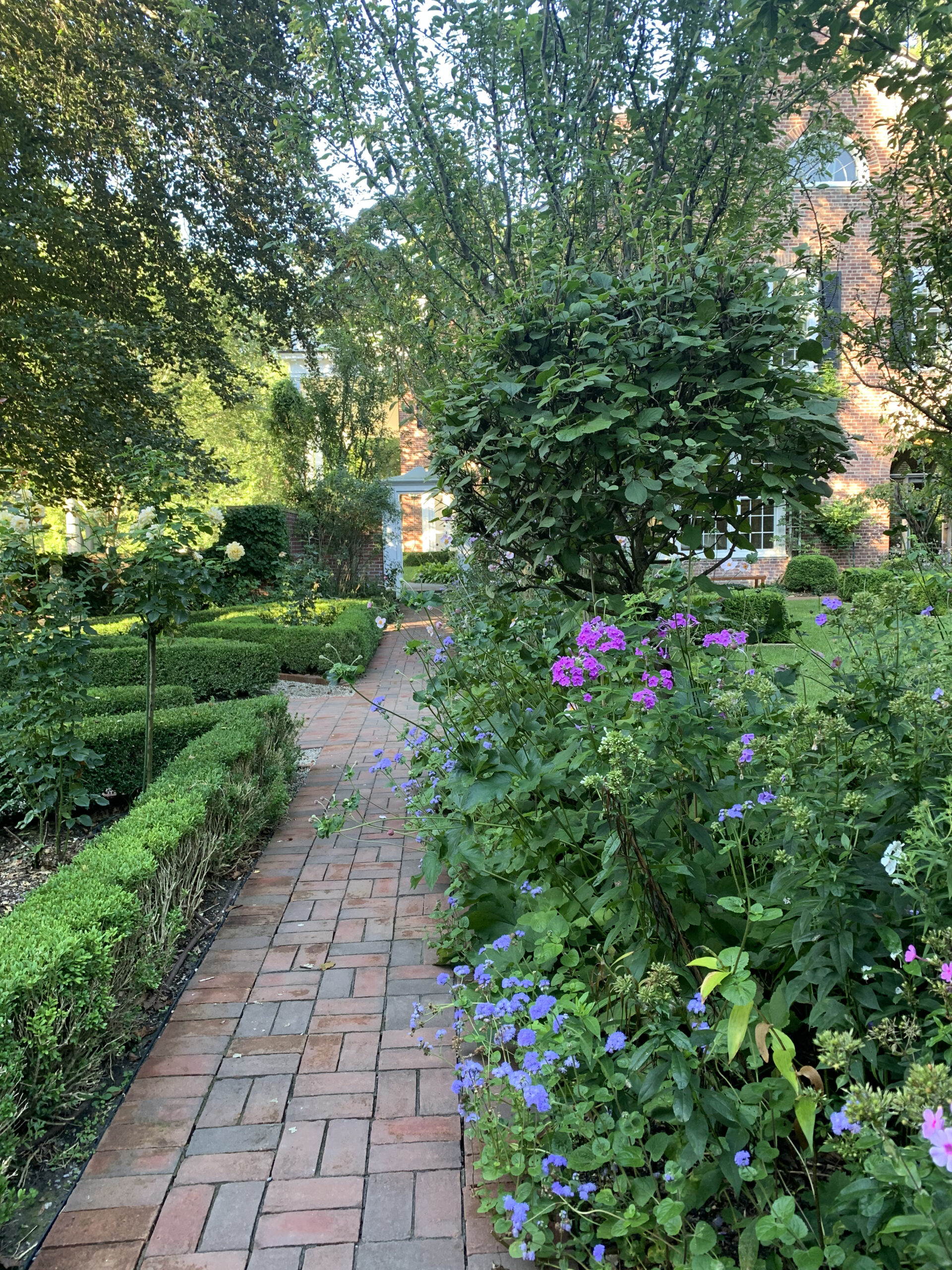What to Plant in Your Ohio Shade Garden | Perennial Favorites ...