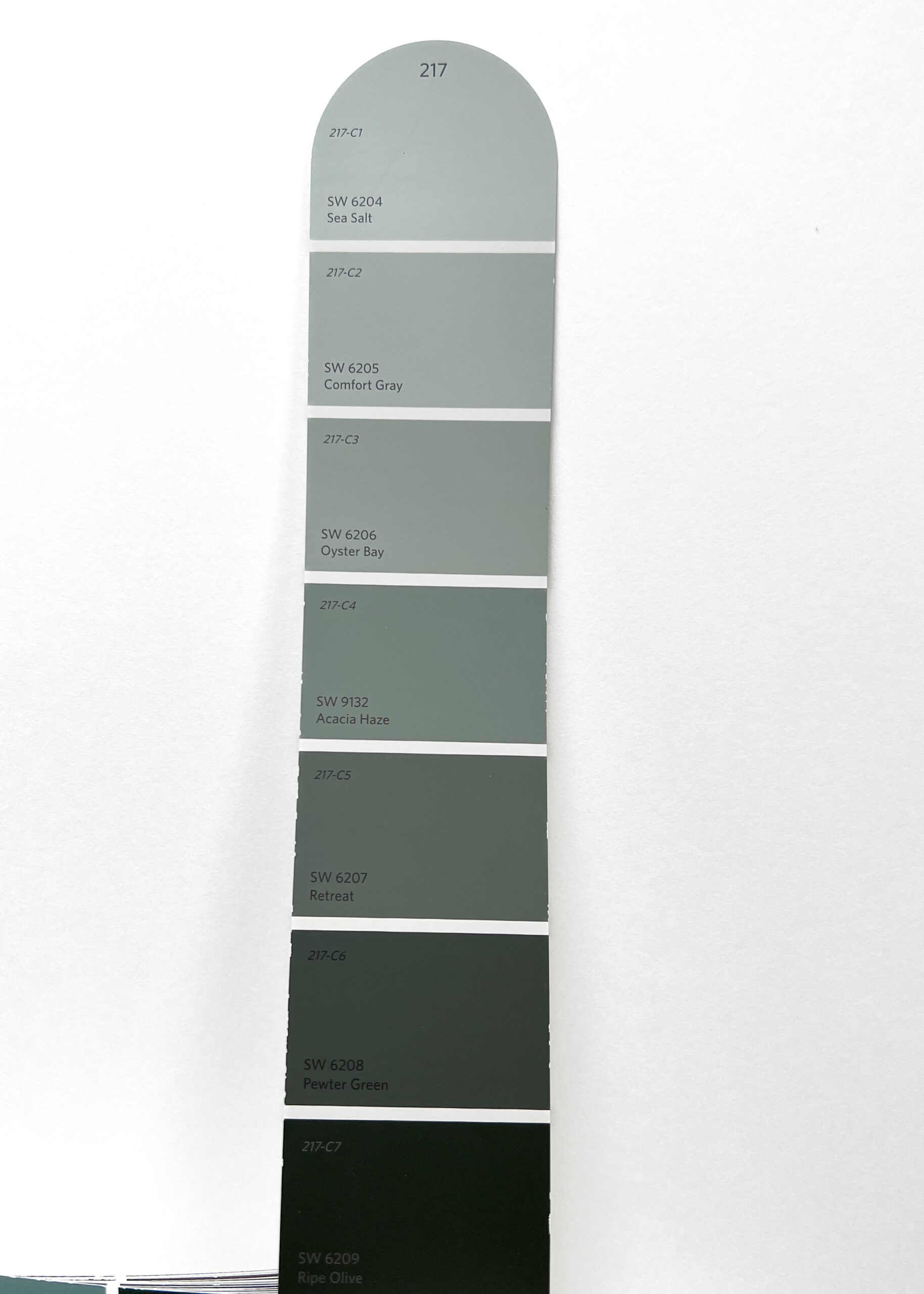 Oyster Bay Sherwin Williams | Color Review - Building Bluebird