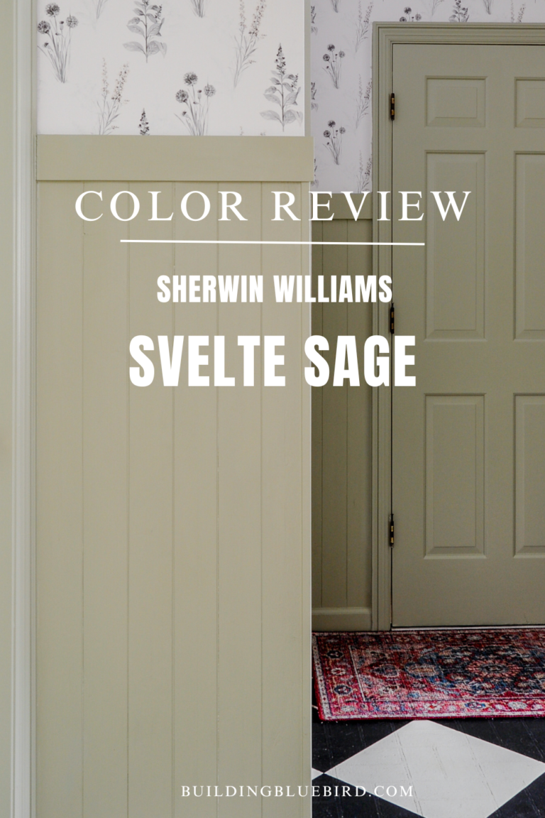 Sherwin Williams Svelte Sage Color Review - Building Bluebird