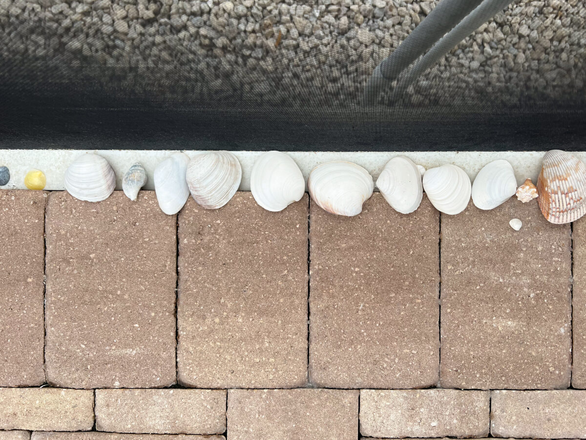 Decoupage Seashells to Create a Beautiful Decorative Dish - Building ...