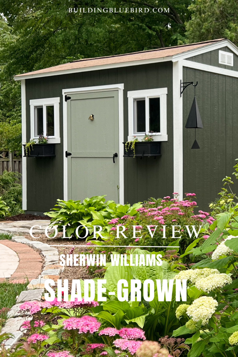 Sherwin Williams Shade Grown (SW 6188) | Color Review - Building Bluebird
