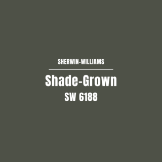 Sherwin Williams Shade Grown (SW 6188) | Color Review - Building Bluebird