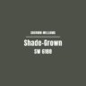 Sherwin Williams Shade Grown (SW 6188) | Color Review - Building Bluebird