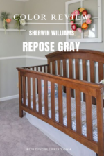 Sherwin Williams Repose Gray (SW 7015) | Paint Color Review - Building ...