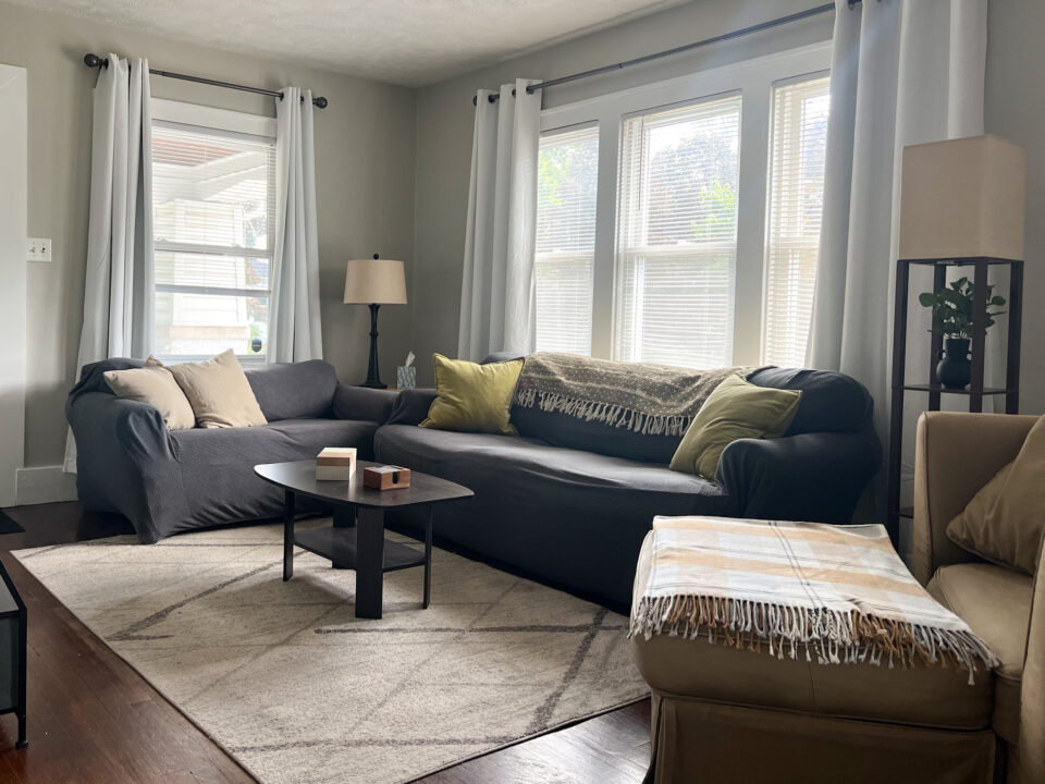 Agreeable Gray by Sherwin Williams | Paint Color Review - Building Bluebird