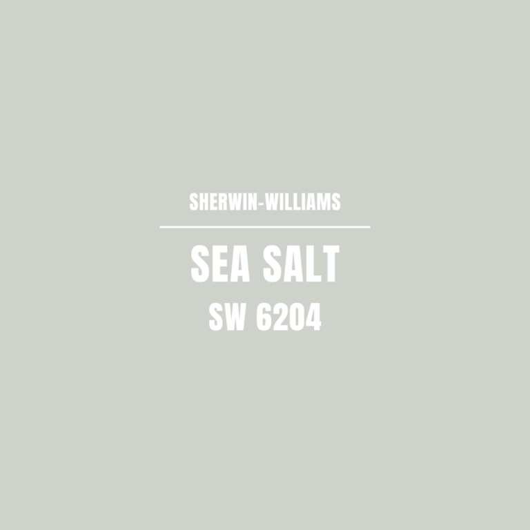 Sea Salt by Sherwin Williams (SW 6204) | Paint Color Review - Building ...