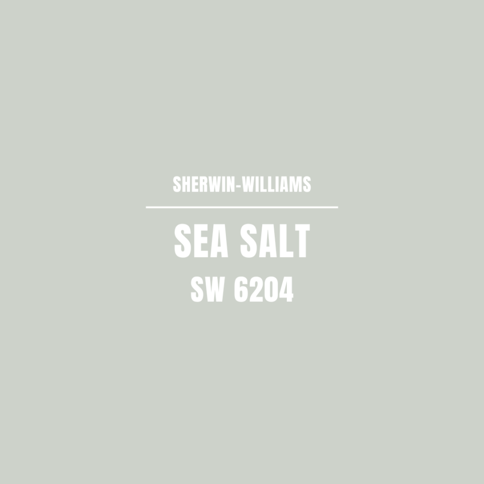 Sea Salt by Sherwin Williams (SW 6204) | Paint Color Review - Building ...