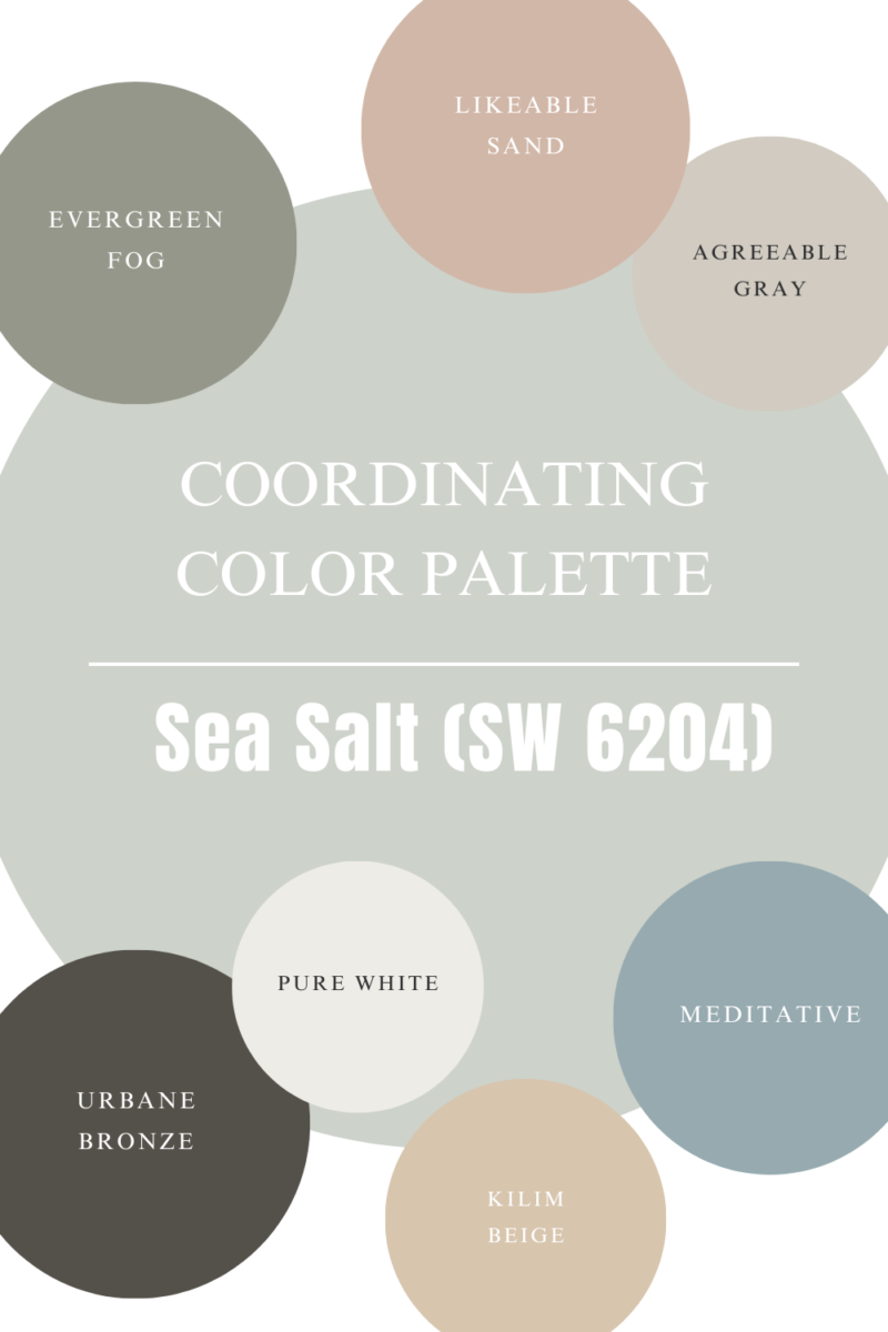 Sea Salt by Sherwin Williams (SW 6204) | Paint Color Review - Building ...