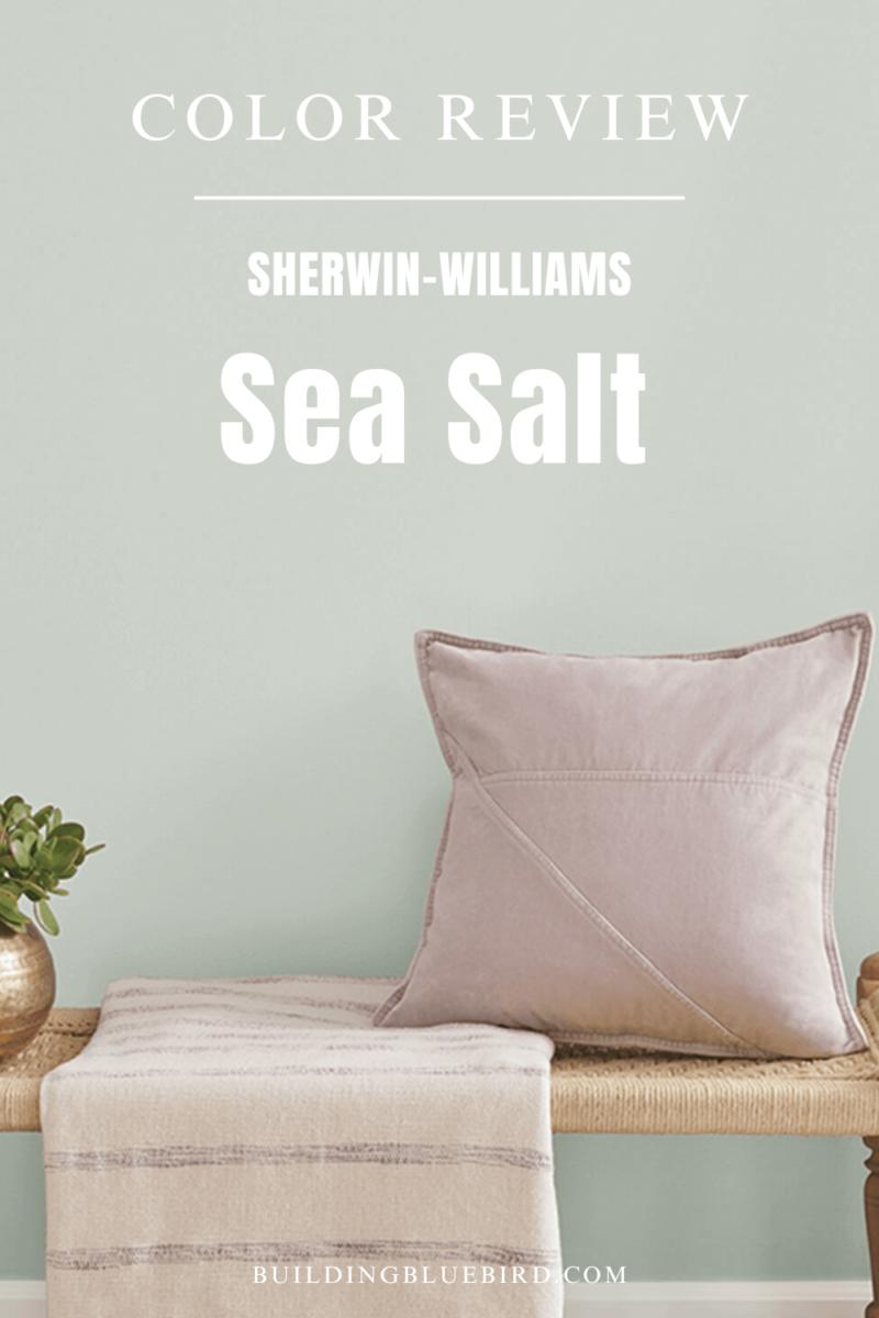 Sea Salt by Sherwin Williams (SW 6204) | Paint Color Review - Building Bluebird